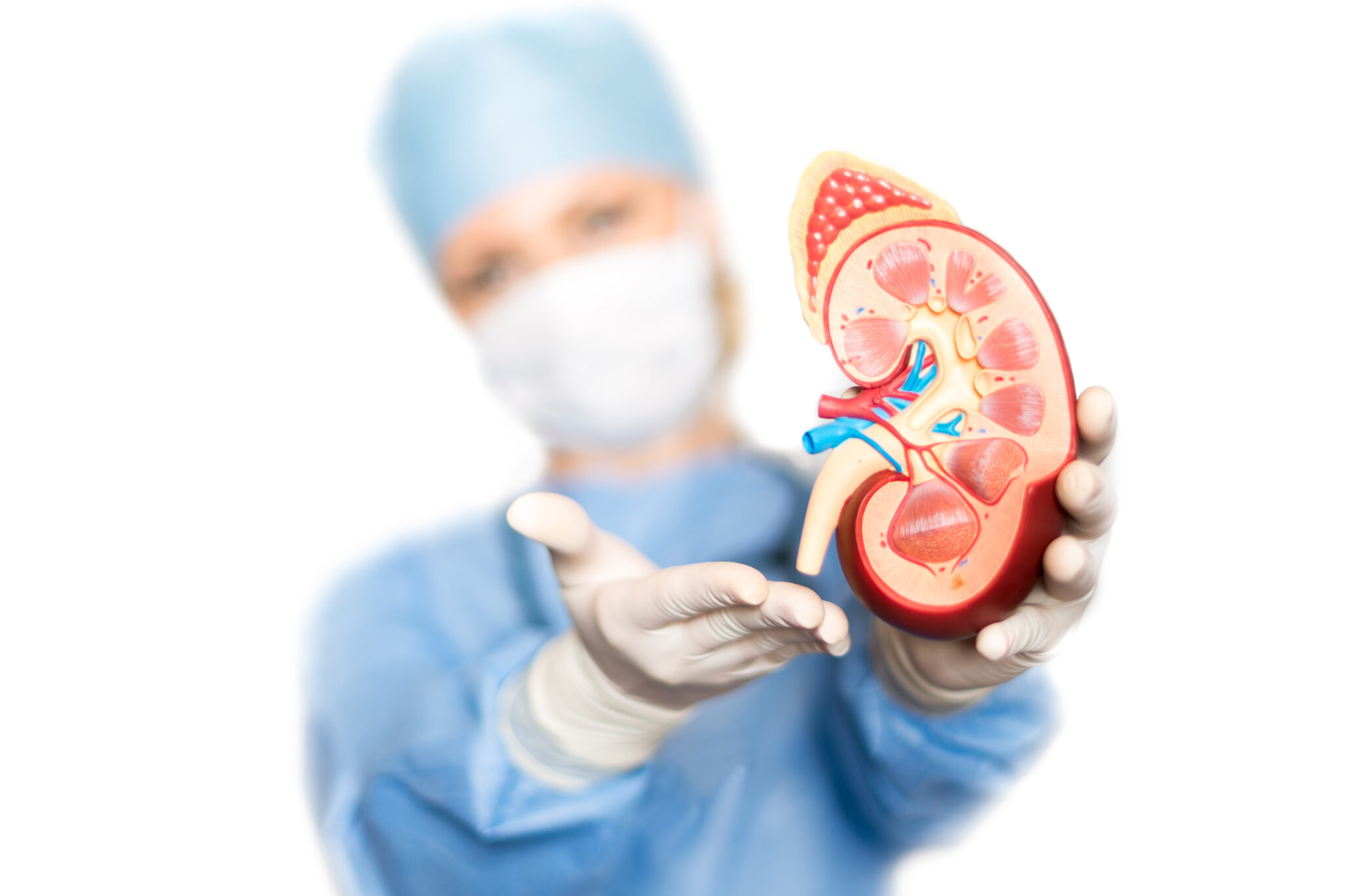 Nephrology Specialists of Oklahoma | Excellence in Kidney Care